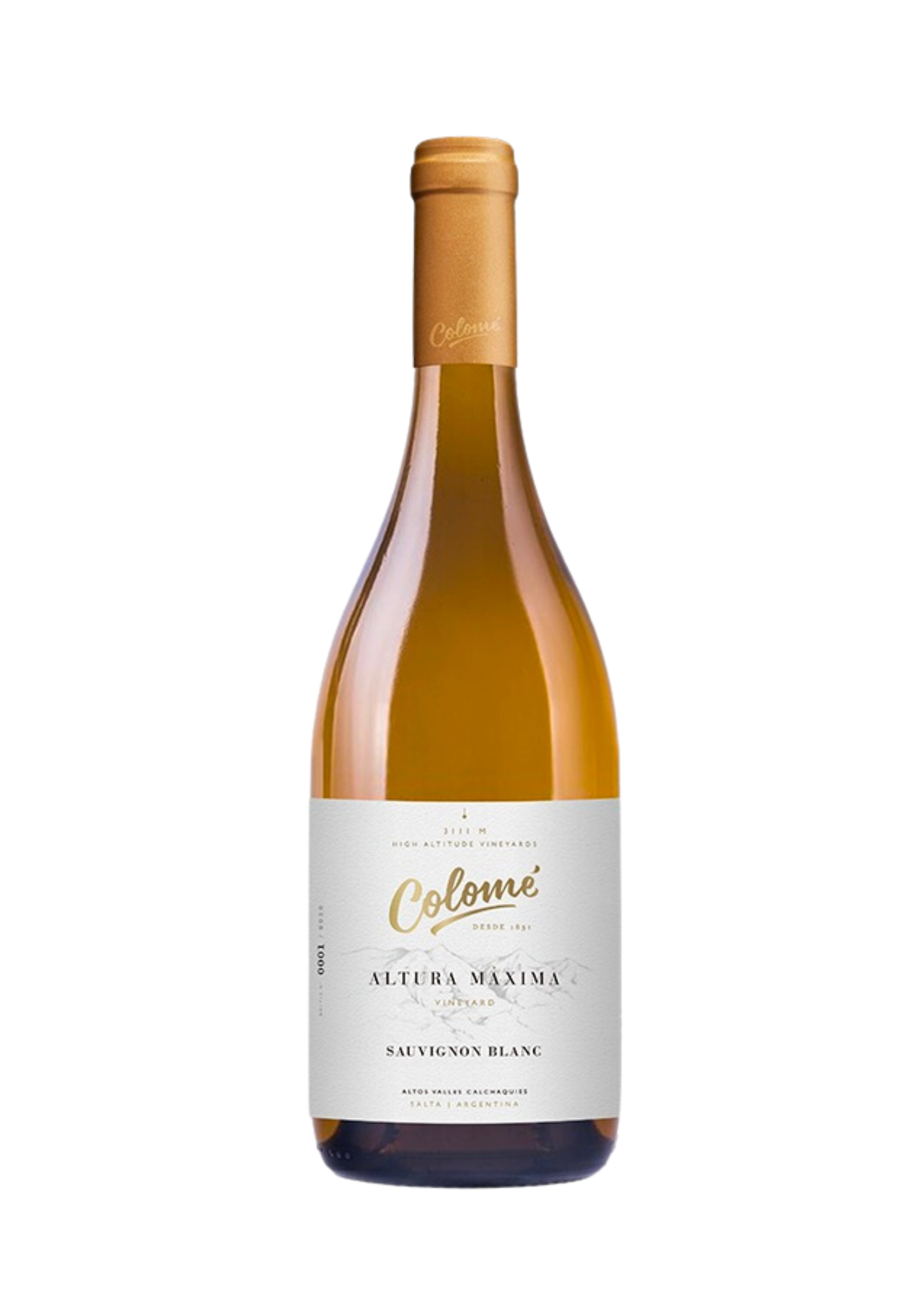 Bodega Colomé Altura Máxima Sauvignon Blanc 2021 – Wine Cloud